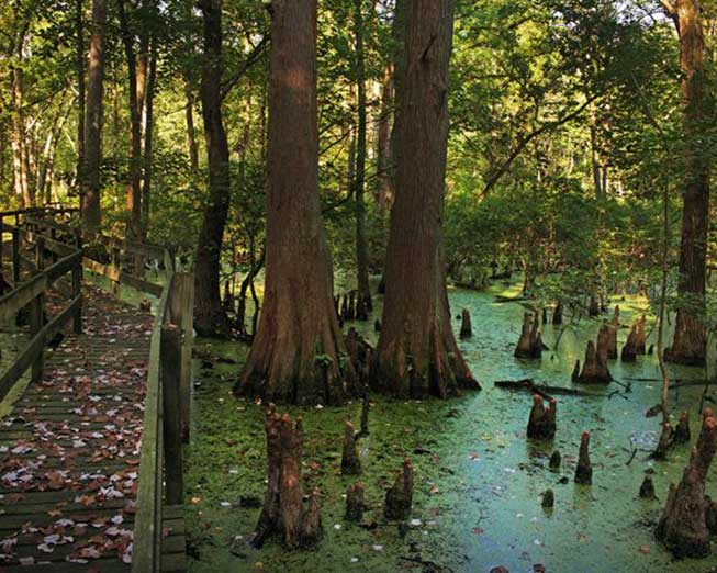 Places of Interest - Visit Posey County
